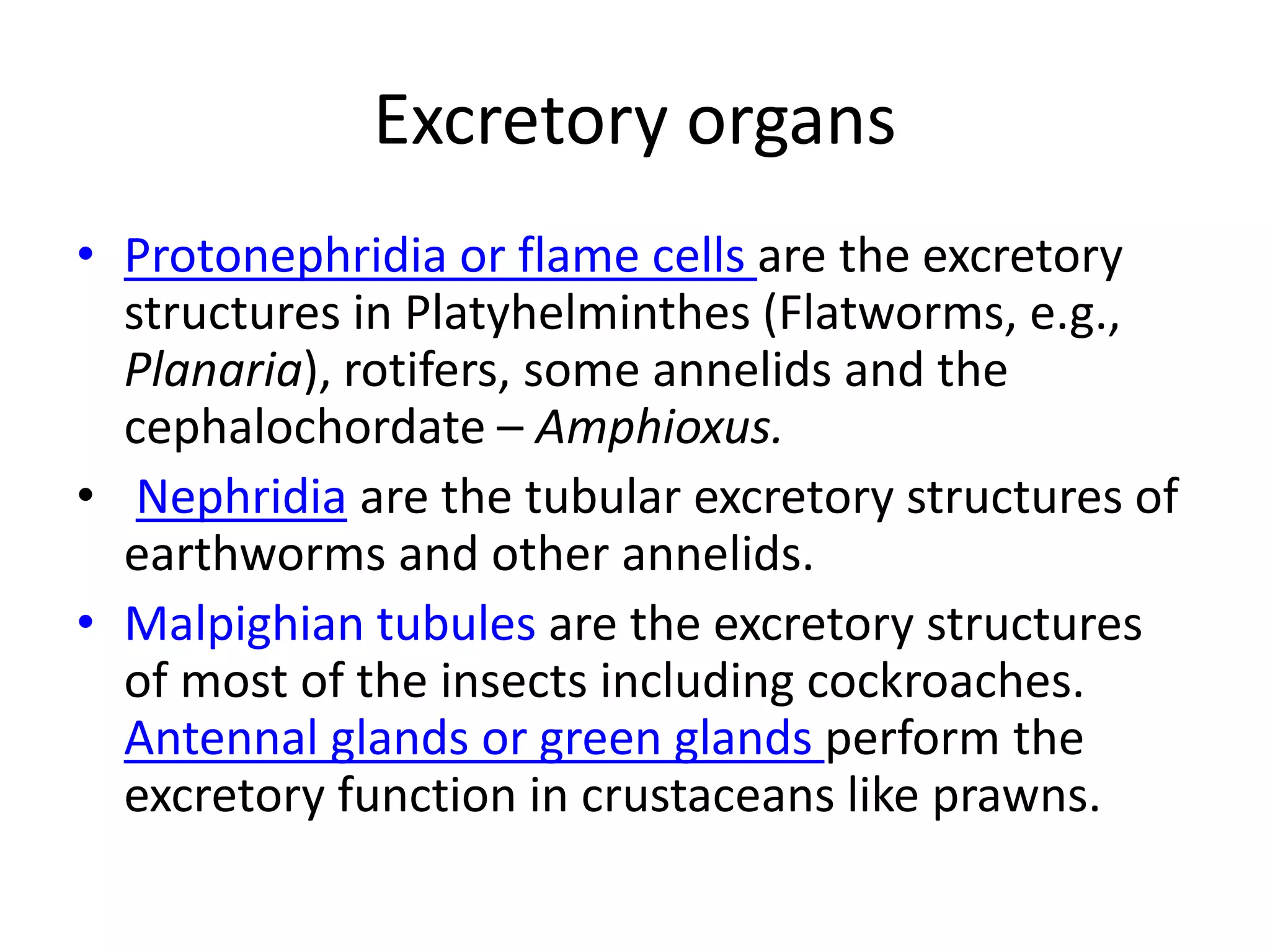 19. Excretory Products and their Elimination | PPTX