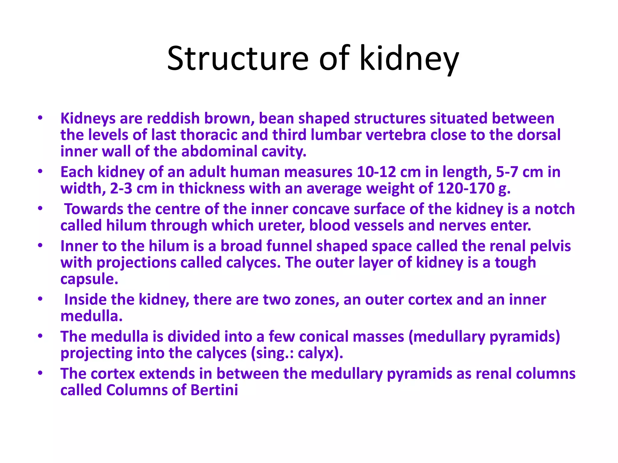 19. Excretory Products and their Elimination | PPTX