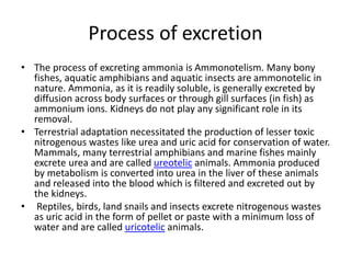 19. Excretory Products and their Elimination | PPTX