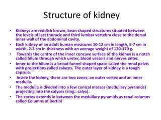 19. Excretory Products and their Elimination | PPTX