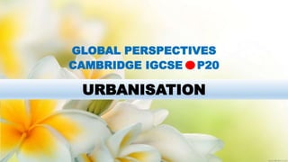 GLOBAL PERSPECTIVE CAMBRIDGE IGCSE: URBANISATION | PPTX