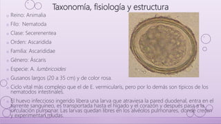 ascariasis | PPTX