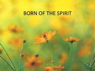 19. born of the spirit | PPT