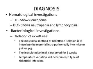 19. rickettsiae | PPTX