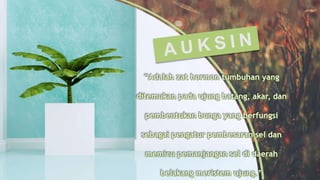 Zat Perangsang Tumbuh (ZPT) tanaman | PPTX