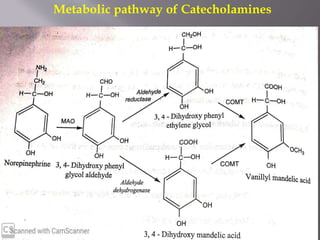 Biosynthesis & Metabolism of catecholamine | PPTX