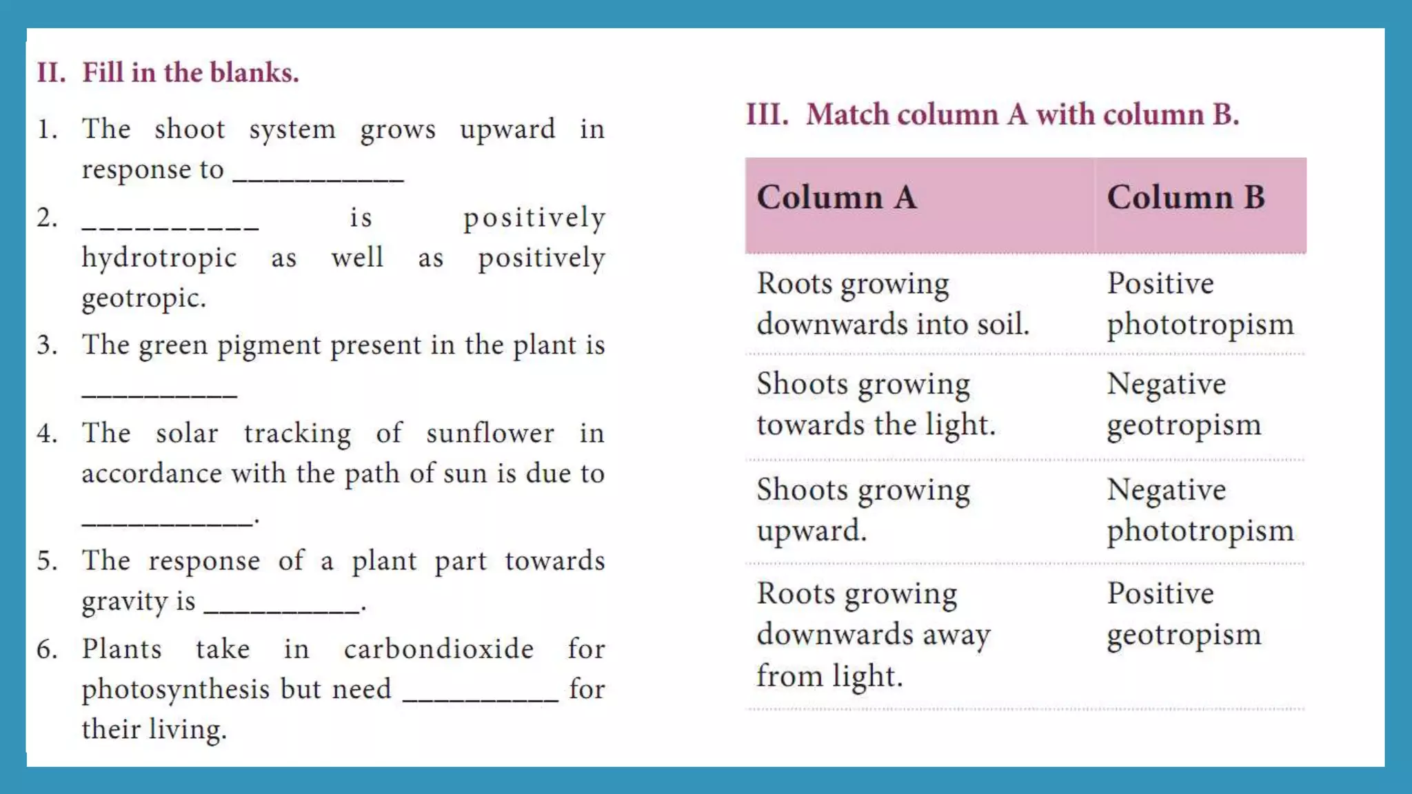 19. Pedagogy of Biological Science (Part II ) - Plant physiology | PPT