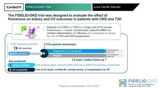 FIDELIO-DKD Trial | PDF