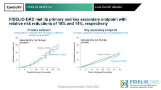 FIDELIO-DKD Trial | PDF