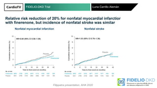 FIDELIO-DKD Trial | PDF