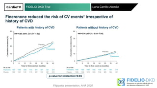 FIDELIO-DKD Trial | PDF