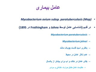 19. john's disease | PDF