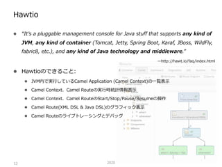 19. camel tooling | PPT