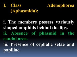 Nemathelminthes classification | PPTX