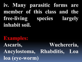 Nemathelminthes classification | PPTX