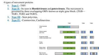 Movement of viruses, physiology of virus infected plants | PDF
