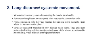 Movement of viruses, physiology of virus infected plants | PDF