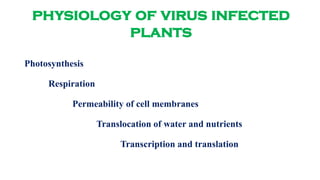 Movement of viruses, physiology of virus infected plants | PDF