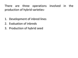 19. inbred lines development | PPTX