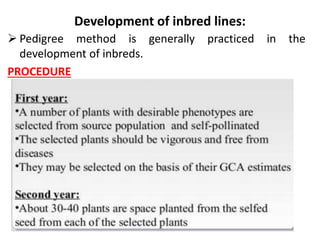 19. inbred lines development | PPTX