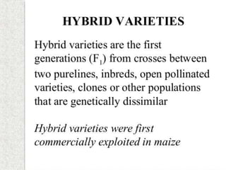 19. inbred lines development | PPTX
