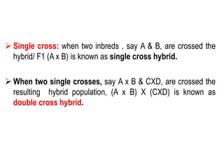 19. inbred lines development | PPTX
