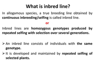 19. inbred lines development | PPT