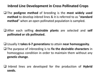 19. inbred lines development | PPTX