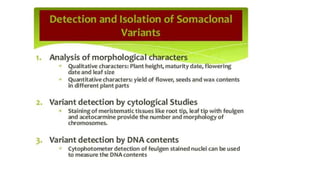Somaclonal variation | PPT