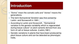 Somaclonal variation | PPT