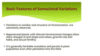 Somaclonal variation | PPT