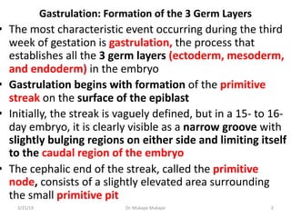 19.Third Week of Development.pdf