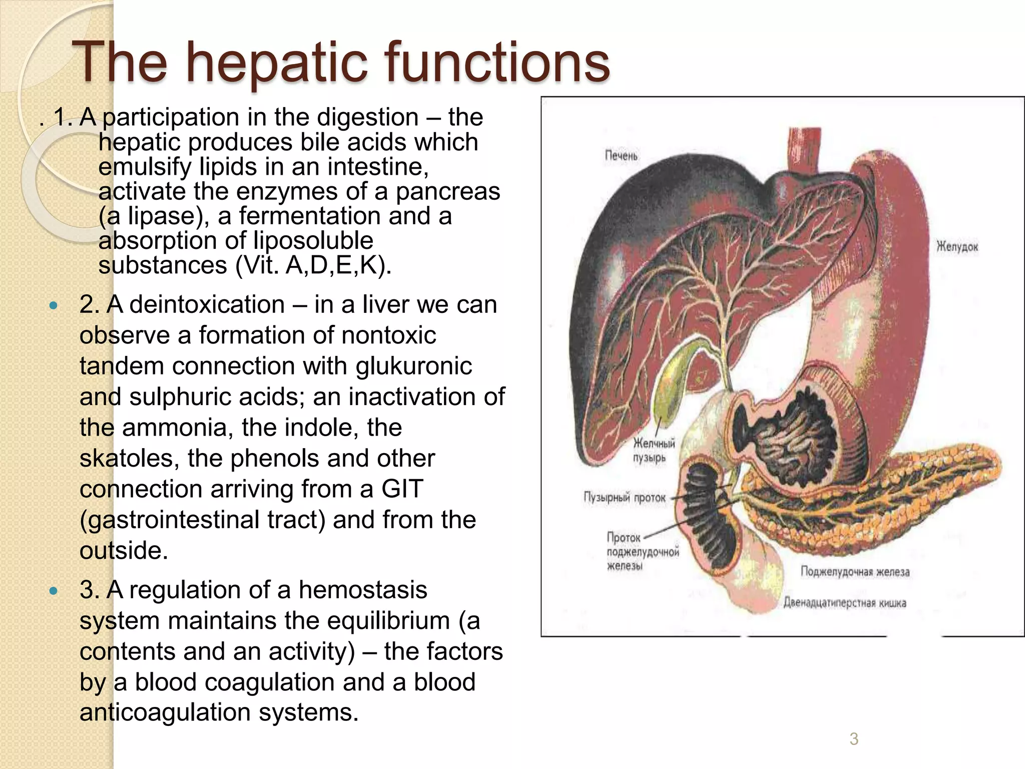 19. hepatic pathology.pptx