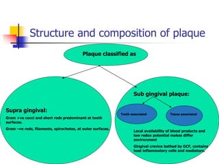 19.periodontal microbiology.ppt