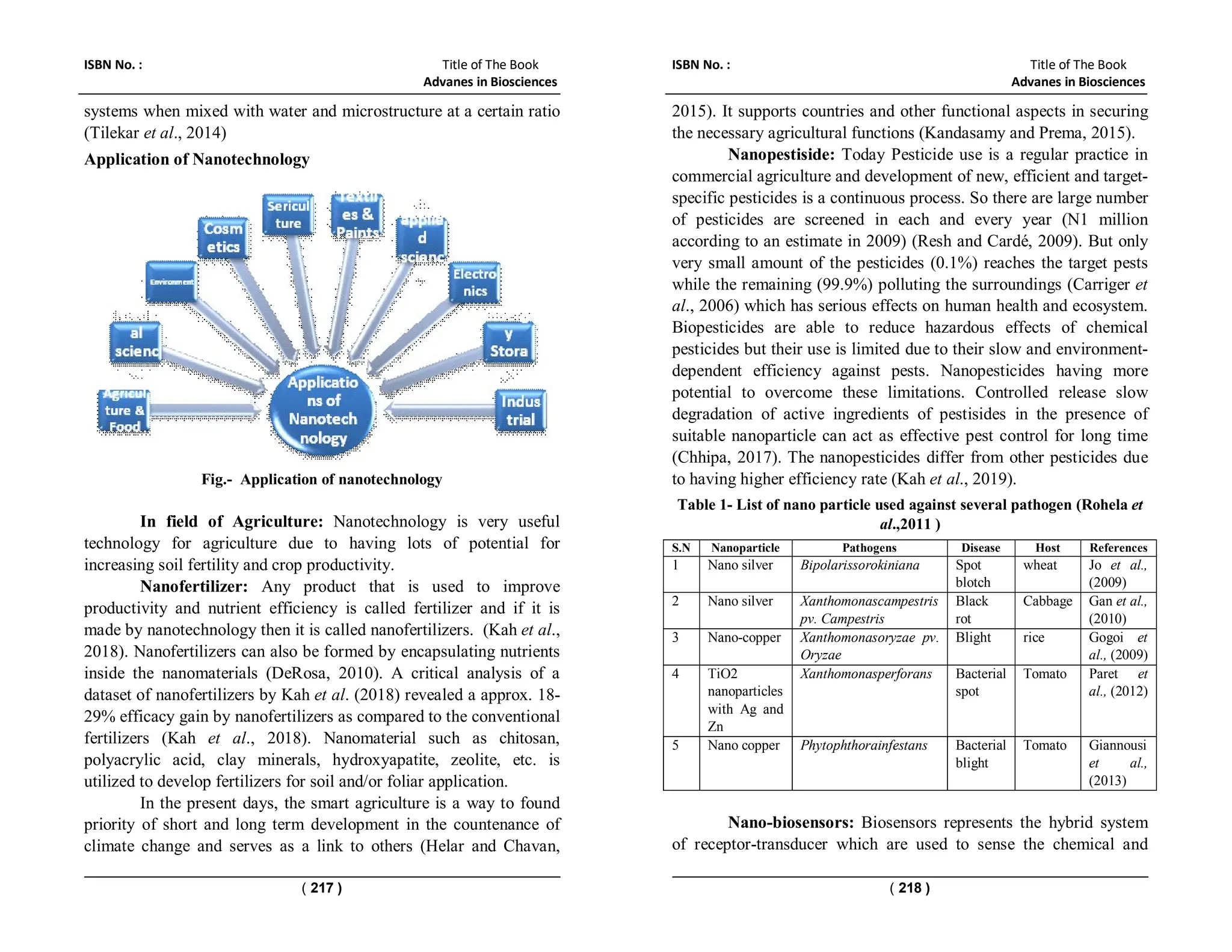 19. nanotechnology book chapter.pdf
