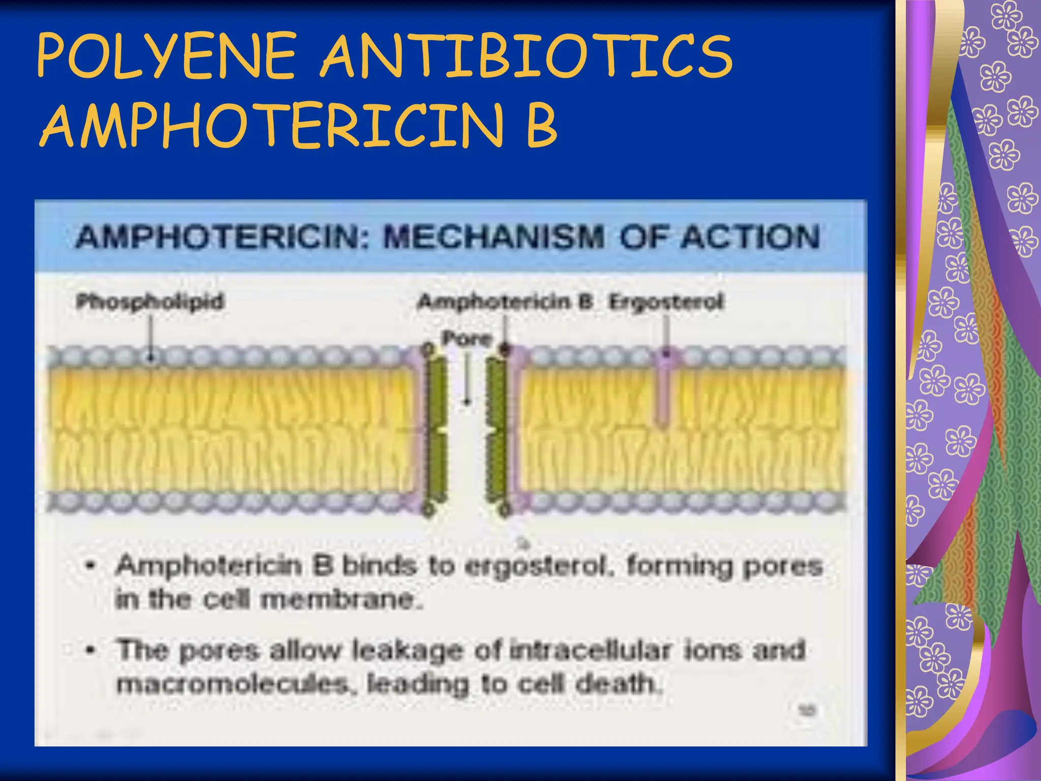 19. ANTI FUNGAL AGENTS - students Copy.ppt