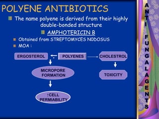 19. ANTI FUNGAL AGENTS - students Copy.ppt