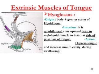 oral cavity+pharynx anatomy and pathology.ppt