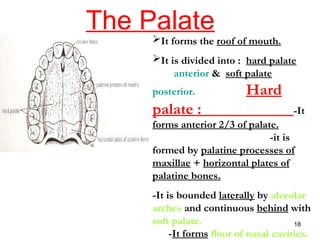 oral cavity+pharynx anatomy and pathology.ppt