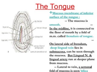 oral cavity+pharynx anatomy and pathology.ppt