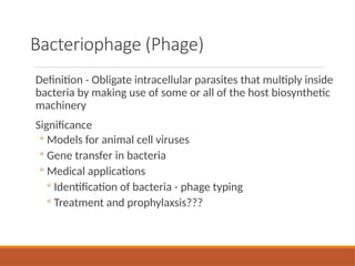 19. Bacteriophages and their role in Microbiology.pptx