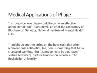 19. Bacteriophages and their role in Microbiology.pptx