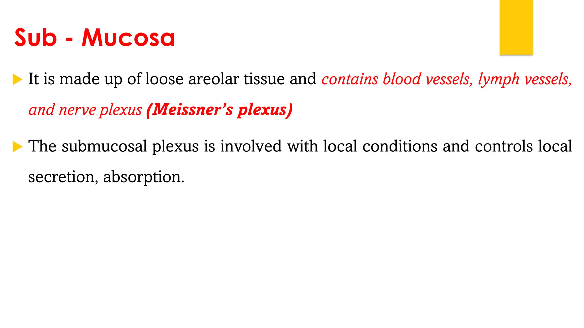 functions of small intestine and its uses | PDF
