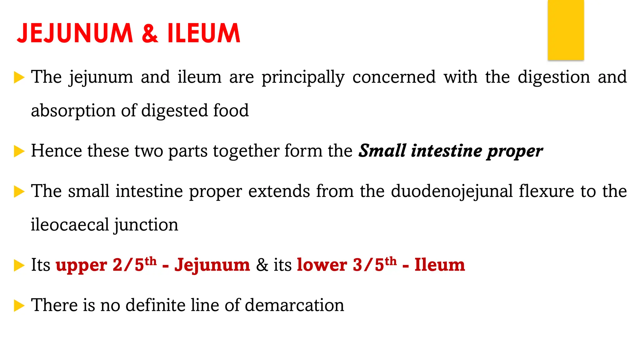 functions of small intestine and its uses | PDF