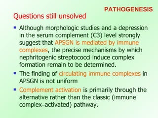 19 Acute Glomerulonephritis | PPT