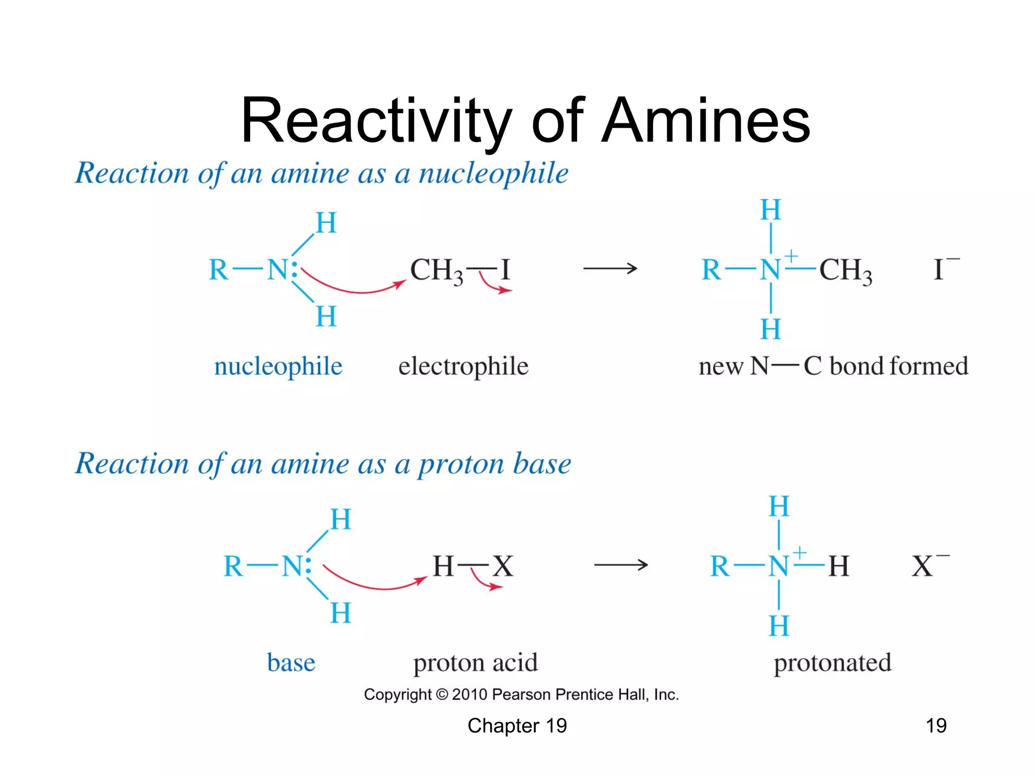 19 - Amines - Wade 7th | PPT