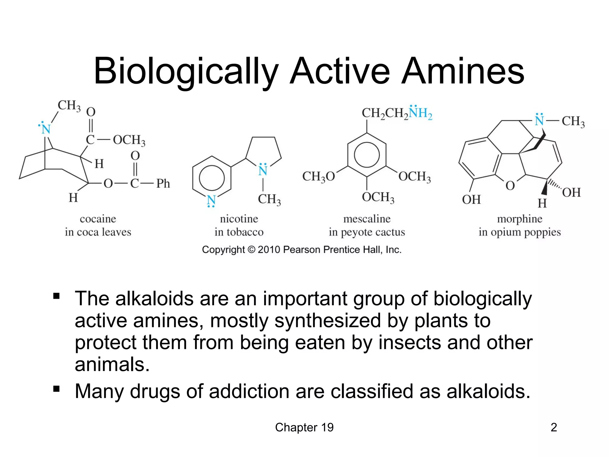 19 - Amines - Wade 7th | PPT
