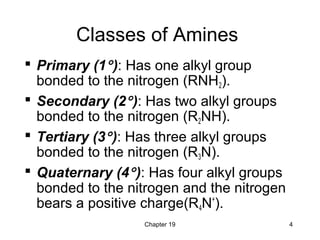 19 - Amines - Wade 7th | PPT