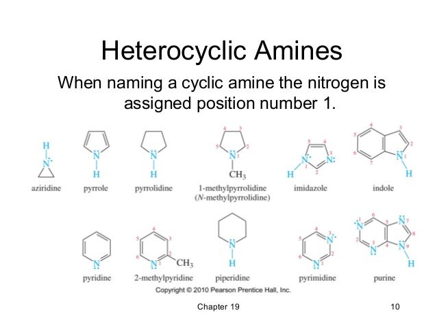 19 - Amines - Wade 7th