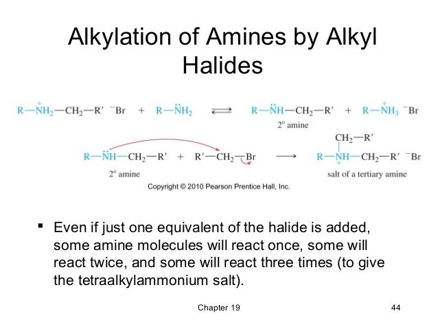 19 - Amines - Wade 7th